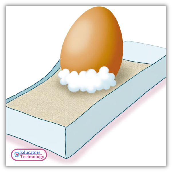 30 Amazing Egg Drop Ideas - Educators Technology